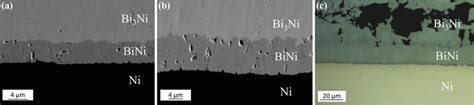 Microstructure Of Samples Aged For 24 H At A 260 °c Sem Bse Image B