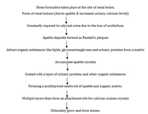 Flow Chart Of Urine Formation Flow