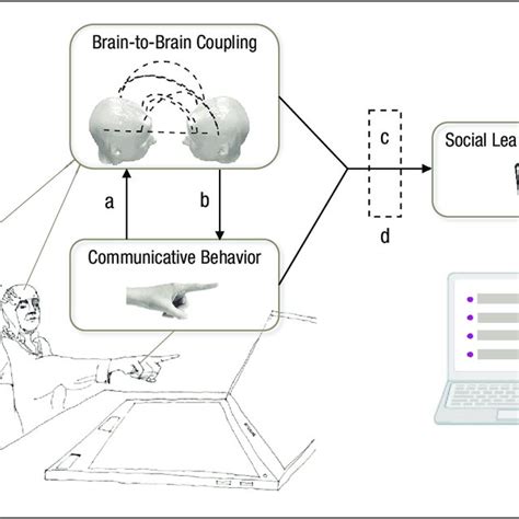Illustration Of The Relationship Among Brain To Brain Coupling Btbc