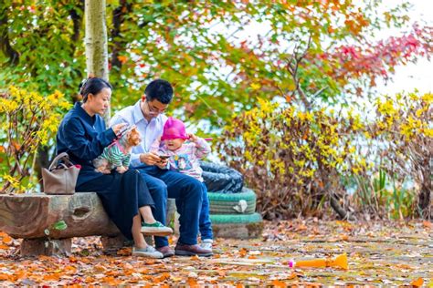 文旅推介 金秋时节彩色森林惹人醉