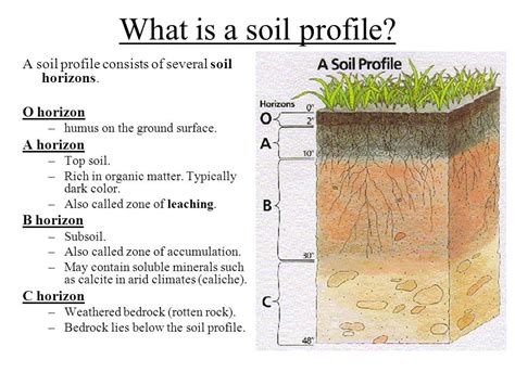 Soil Profile Chart My Xxx Hot Girl