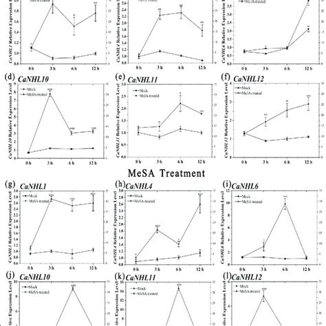 Lisong Ma Professor Ph D College Of Horticulture Research Profile