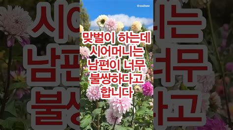 맞벌이 부부의 공동육아 시어머니는 남편이 불쌍하다고 합니다 고민 실화사연 Youtube