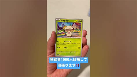ポケモン ポケカ ポケカ開封 Pokemon Pokemoncards 貴重なトリプレットビート3パック開封 Youtube