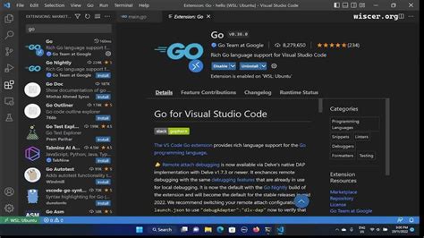 Install `go` Vscode Remote Extension For Ubuntu Wsl2 Youtube