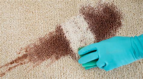 How To Remove Carpet Stains Tina Maids