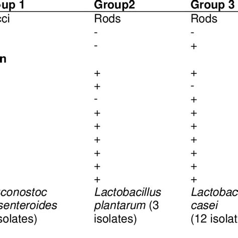 Phenotypical Characteristics Of Lab Download Scientific Diagram