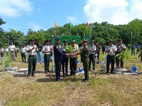 Myanmarnationalpost ဂွမြို့နယ်၌ ၂၀၂၃ ခုနှစ်၊ မိုးရာသီ စုပေါင်းသစ်ပင