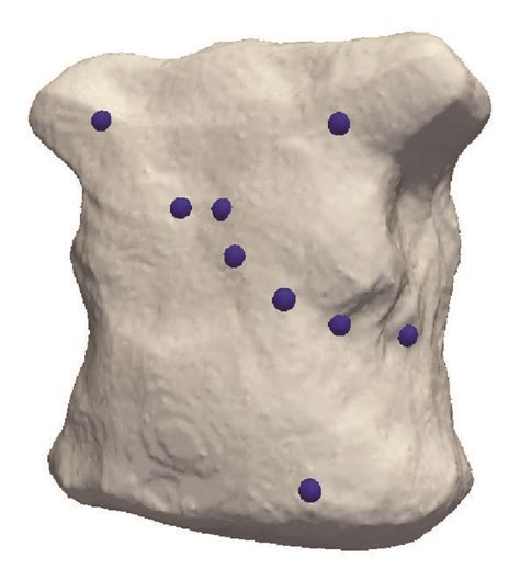 Demonstration Of The Three Torso Models And One Example Per Torso Of An
