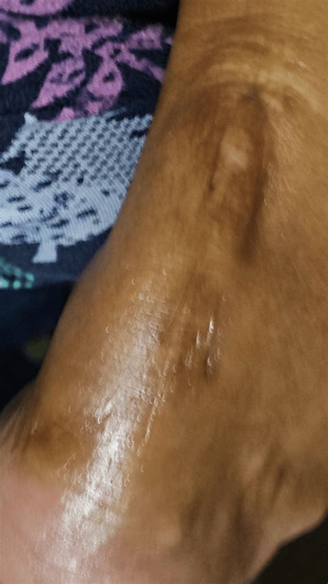 How Stingrays Actually Sting You R Interestingasfuck