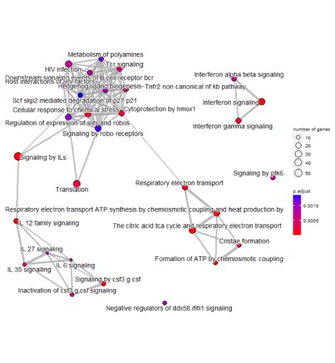 Pathway Enrichment Analysis With Clusterprofiler