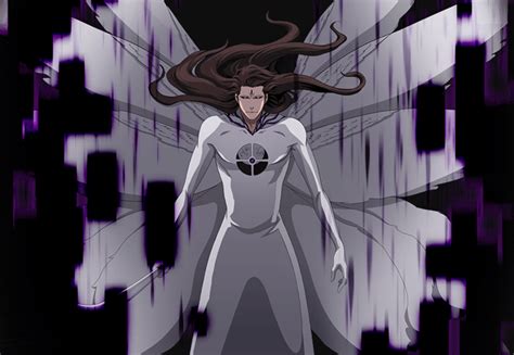 Transcendent Seireitou Bleach Fan Fiction Wiki Fandom