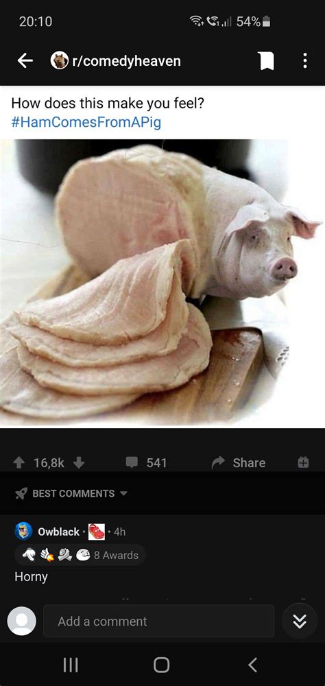 Roxlolz Uroxlolz Reddit