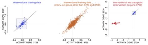 Mit Invariant Causal Prediction