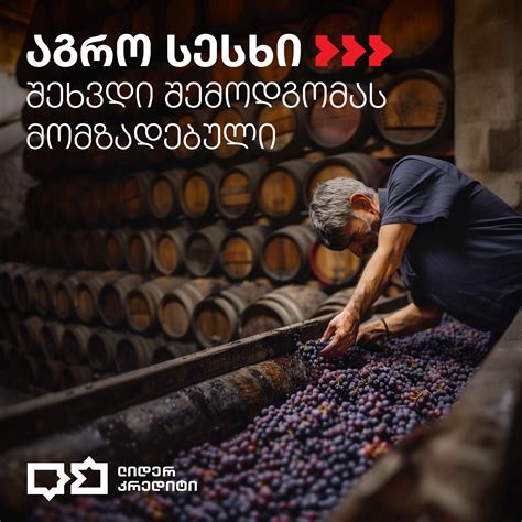 Leader Credit • ლიდერ კრედიტი Tbilisi