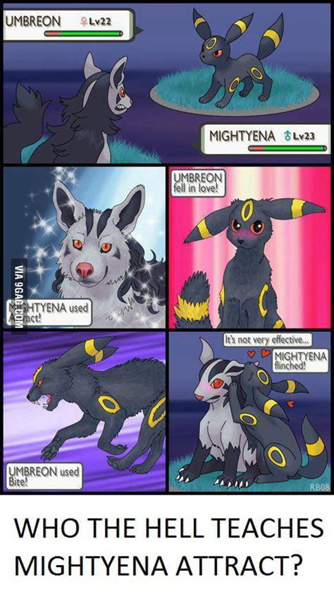 Seriously Mightyena Has Intimidate And It Has Attract 9gag
