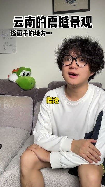 上山捡菌子了嘛云南捡菌子野生菌 Youtube