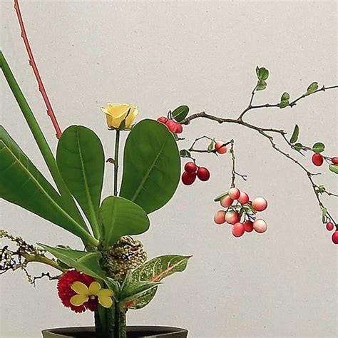 Lusy Wahyudi On Instagram My Old Series Rikka Shimputai 2005