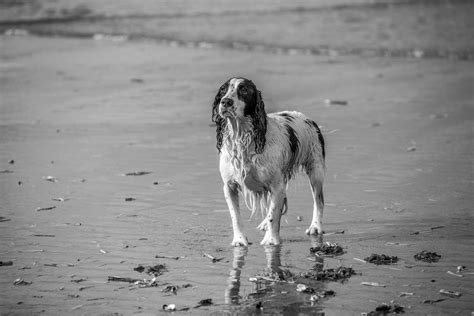 Seascapes Wayne Dibble Photography