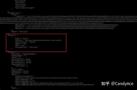 记一次docker中redis重启后启动失败 知乎