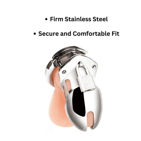 Blueline Bdsm Stainless Steel Cock Cage Humiliation 2 75 Inch Male