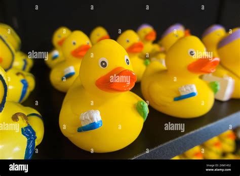 Rubber Duck Display In A Shop Specialising In A Full Range Of Rubber