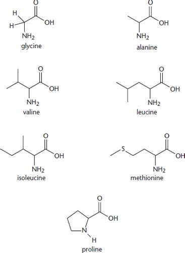 Mcat Amino Acids Flashcards Quizlet