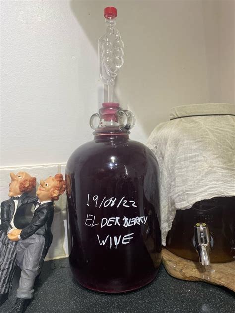Is This Trub 12 Blueberry Wine In Secondary R Winemaking