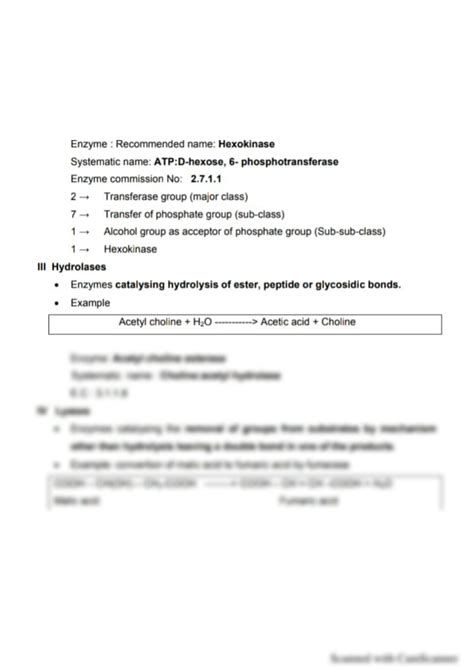 Solution Classification Of Enzymes Studypool