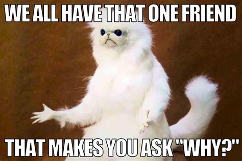 Wacky Friends Meme 55 Hilarious Friend Memes Only True Bffs Will