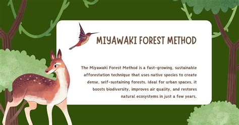 Miyawaki Forest Method 7 Colossal Benefits Explained