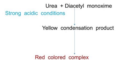 Estimation Of Serum Urea Flashcards Quizlet