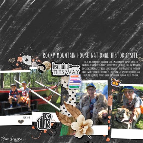 Life Experience By Renee Diprose Digital