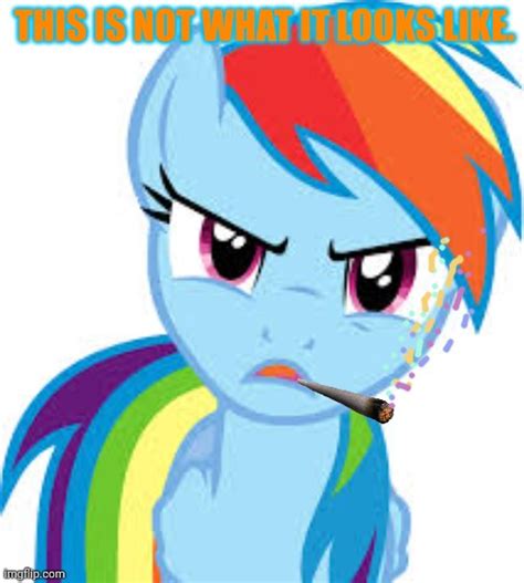 Rainbowdash Is Smoking Weed Imgflip