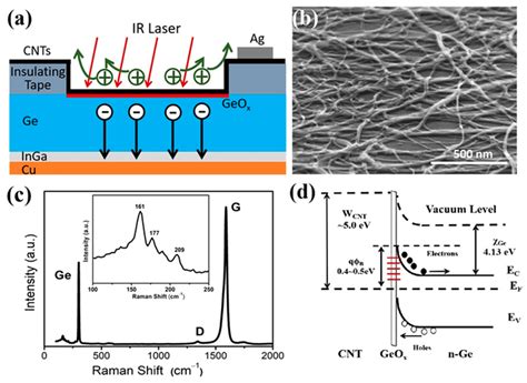 The Swcnt Ge Heterojunction Photodetector A A Schematic Illustration Download Scientific