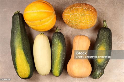 오래된 배경에 호박과 호박의 다양한 품종 가을 수확의 개념 줄무늬 농업에서 재배를위한 흰색과 황금 호박 가을에 대한 스톡 사진 및 기타 이미지 Istock