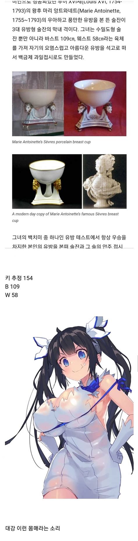 역사 피셜로 몸매가 개쩌는 사료를 남긴 마리 앙투아네트 포텐 터짐 최신순 에펨코리아