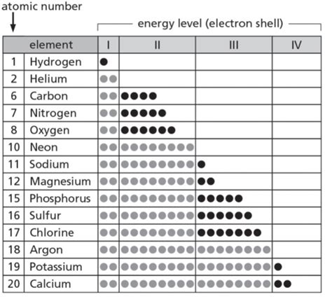 Molecular Bio Exam 1 2022 Flashcards Quizlet