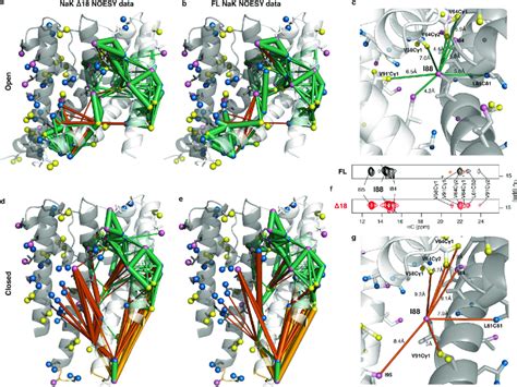 Nak Methyl Methyl Distance Restraints Reveal An Open Hbc In Bicelles Download Scientific