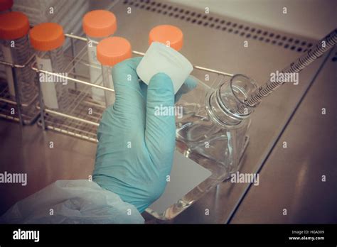 Lab Technician Takes Sample From Tube For Test Close Up Soft Focus Stock Photo Alamy