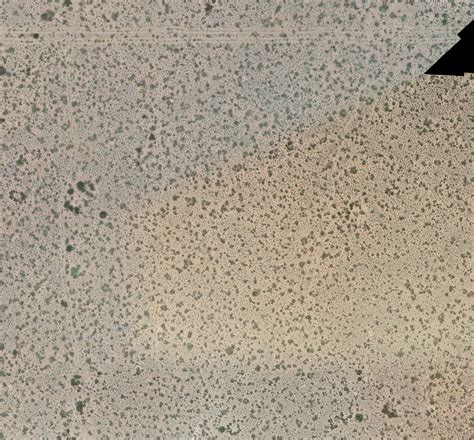 How To Homogenize Brightness In An Image Image Analysis Image Sc Forum