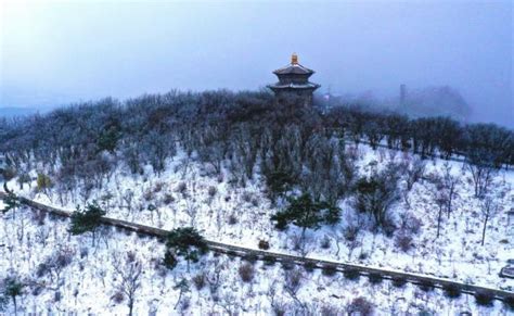 连云港真的下雪了 我苏网