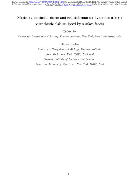 Pdf Modeling Epithelial Tissue And Cell Deformation Dynamics Using A