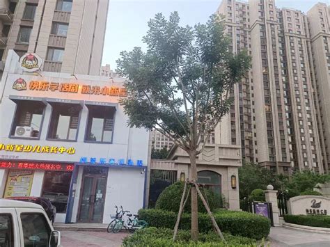 【3图】丽景蓝湾c区门脸对面新秀小中学校年租30万长期稳定保定莲池丽景蓝湾卓正丽景蓝湾c区商铺商铺租售生意转让出售 保定58同城