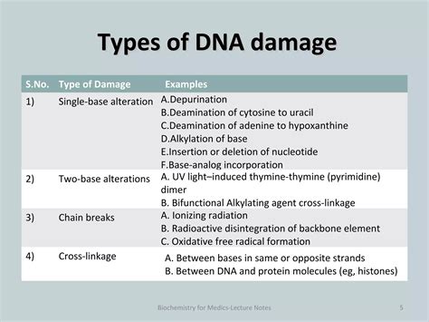 Dna Damage And Repair Ppt