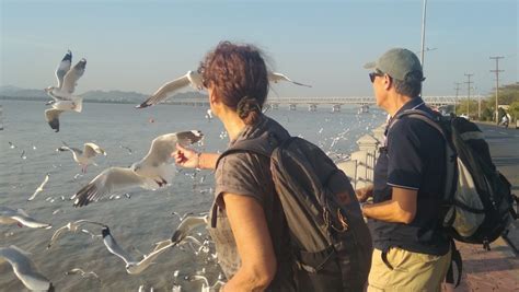 Hsu Nandar Win Private Tour Guide In Yangon Myanmar Tourhq