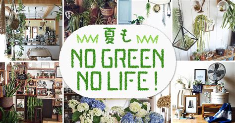 発表中！ 夏もno Green No Life！ イベント ｜ Roomclip（ルームクリップ） Roomclip（ルームクリップ）