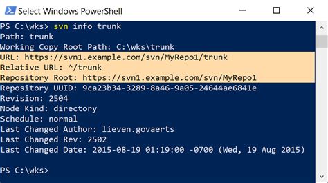 Where Does Svn Update From Stack Overflow