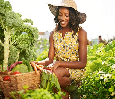 Jrfarms Africa Limited
