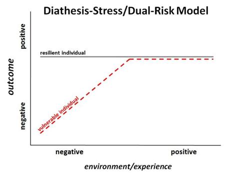 Diathesisstress Model Psynso